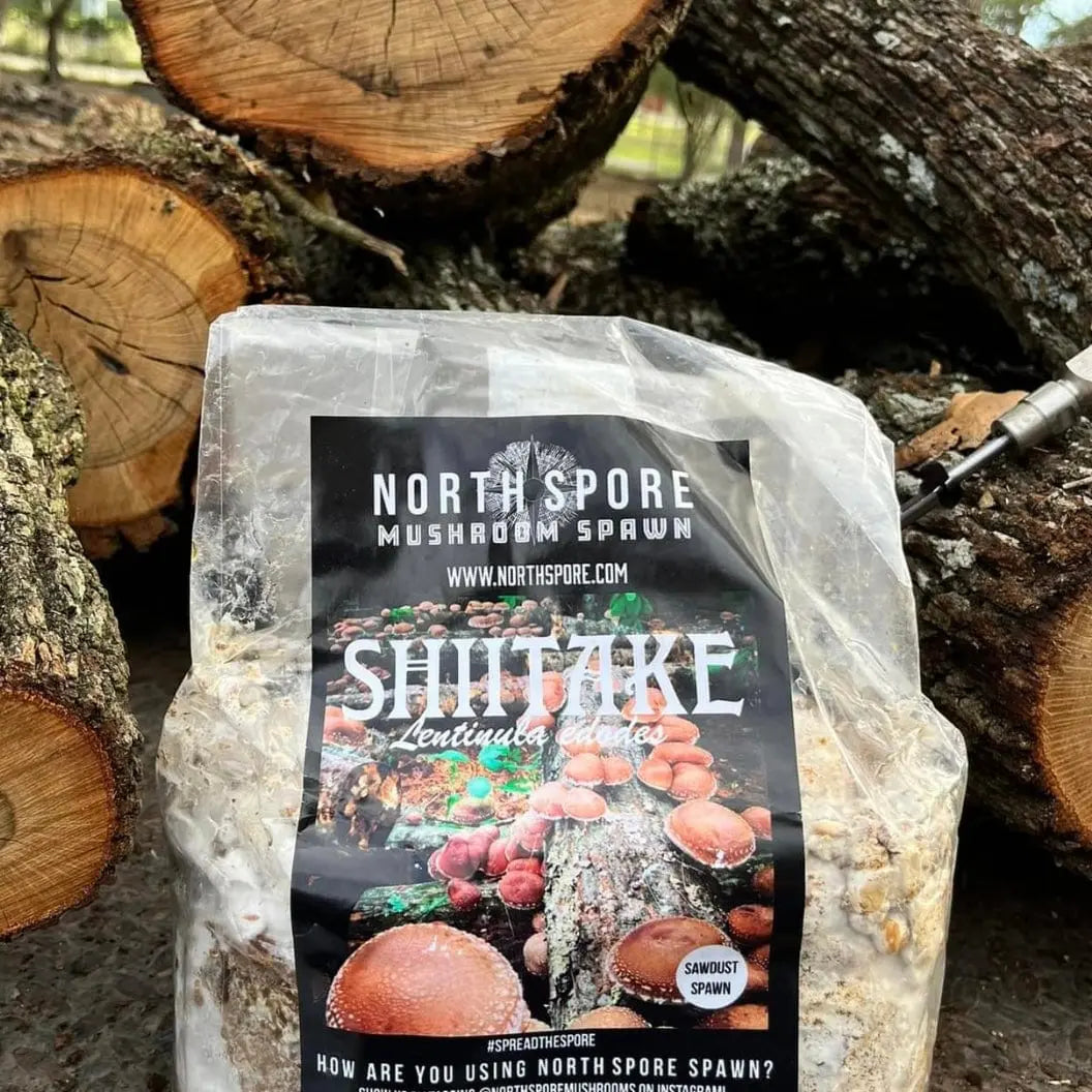 NORTH SPORE Organic Shiitake Mushroom Sawdust Spawn – GARDEN SUPPLY GUYS