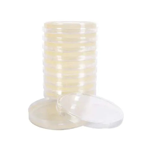 NORTH SPORE Pre-Poured Sterile Agar Plates for Mushroom – GARDEN SUPPLY ...