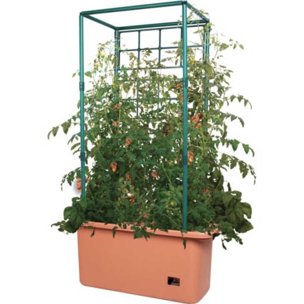 Hydrofarm Tomato Trellis Auto-Water Garden on Wheels – GARDEN SUPPLY GUYS