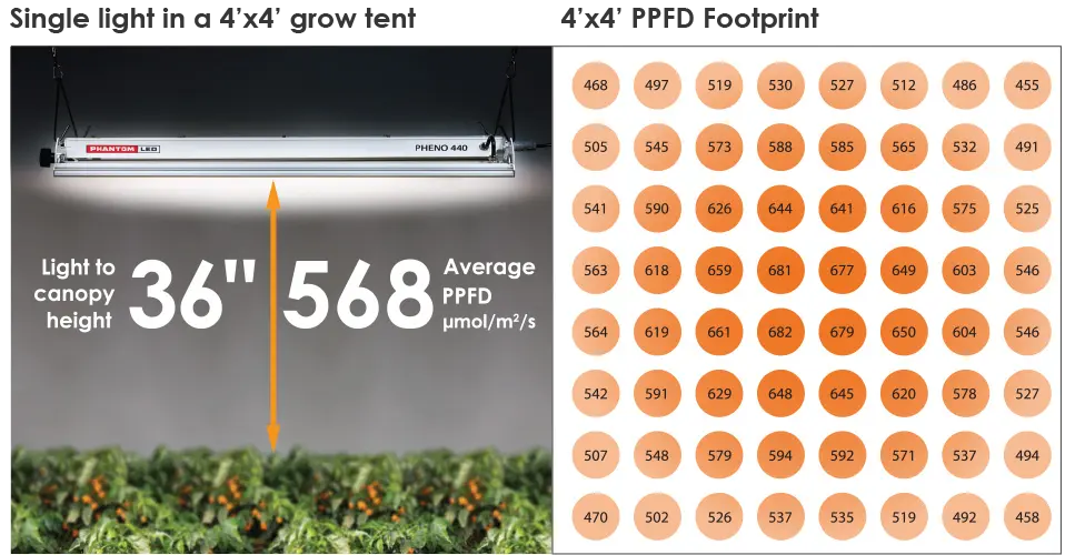 PHANTOM PHENO LED 440 WATT Adjustable Grow Light Bar – GARDEN SUPPLY GUYS